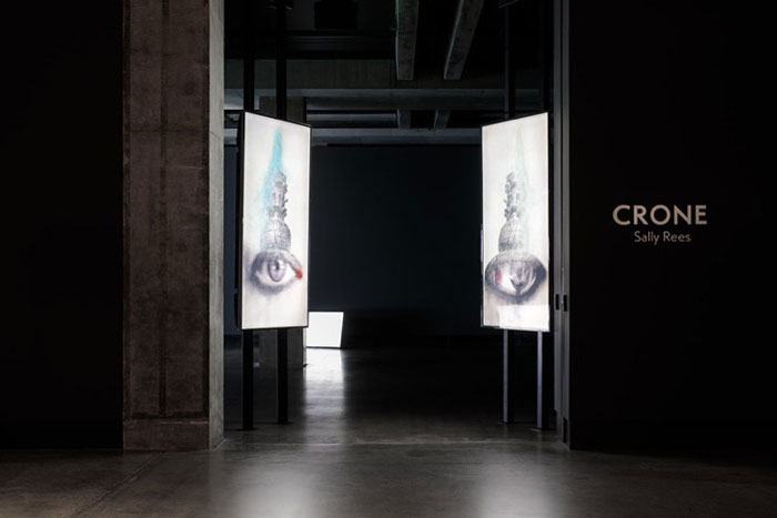 Elli Conversations - Sally Rees - How to Age Against the Machine